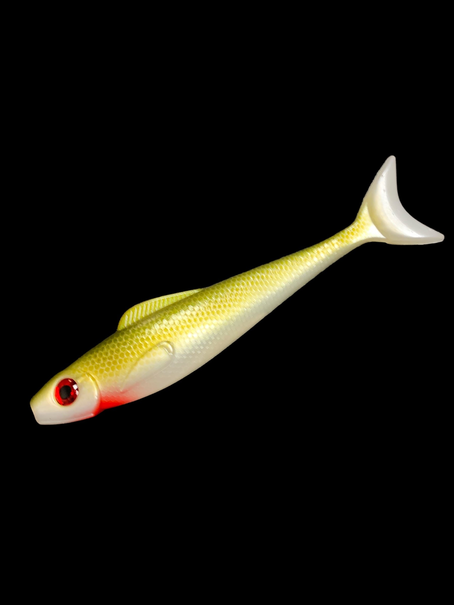 Scout Shad 6 inch – Hook'Em Up Tackle